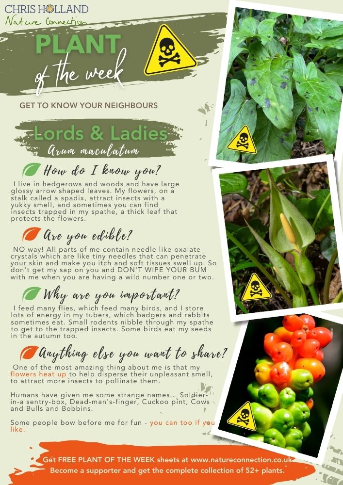 THE PLANT OF THE WEEK COLLECTION