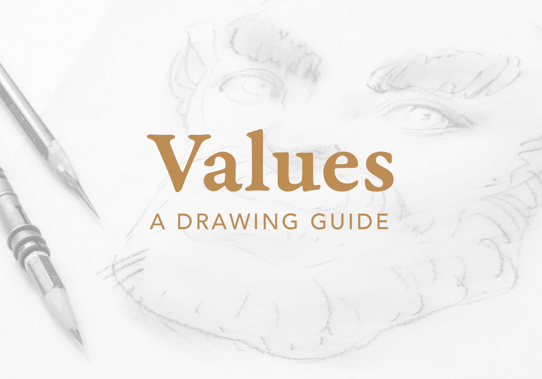 Drawing Guides