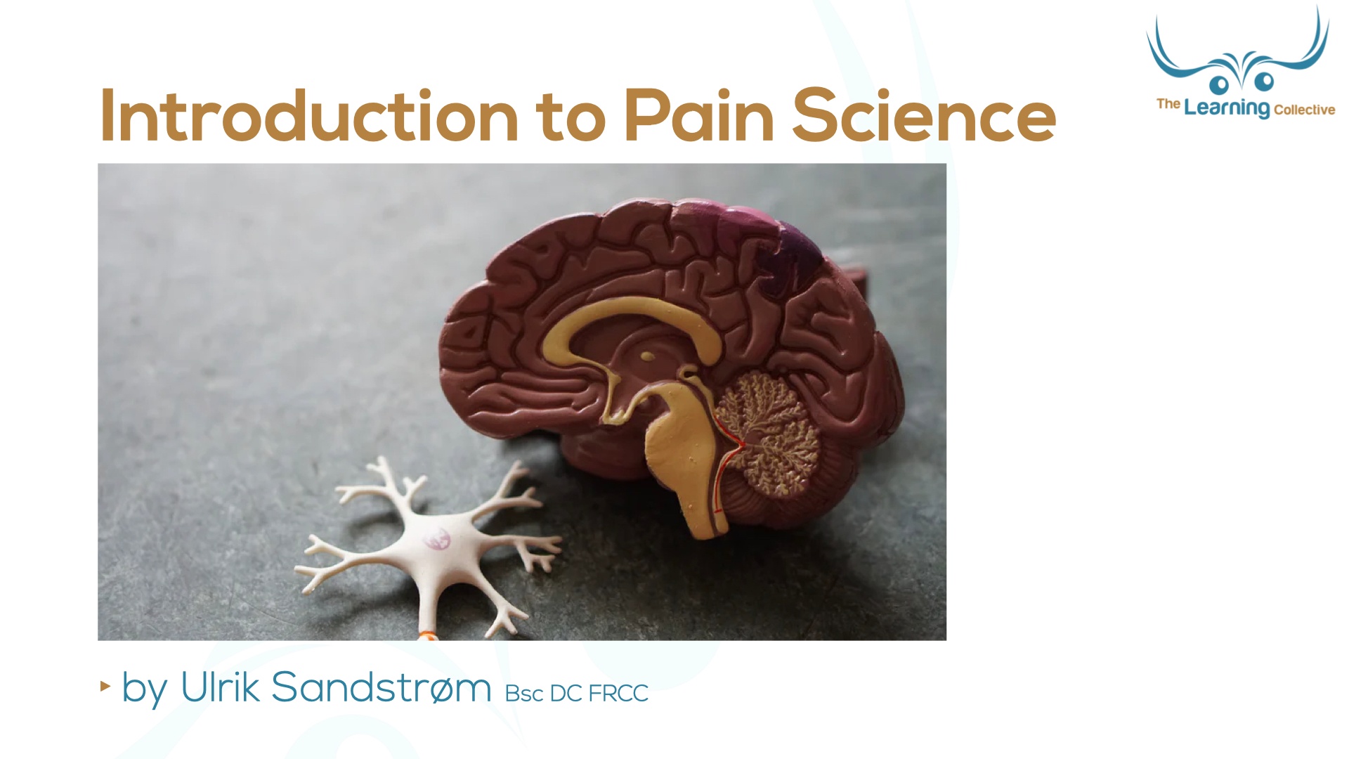 Introduction to Pain Science