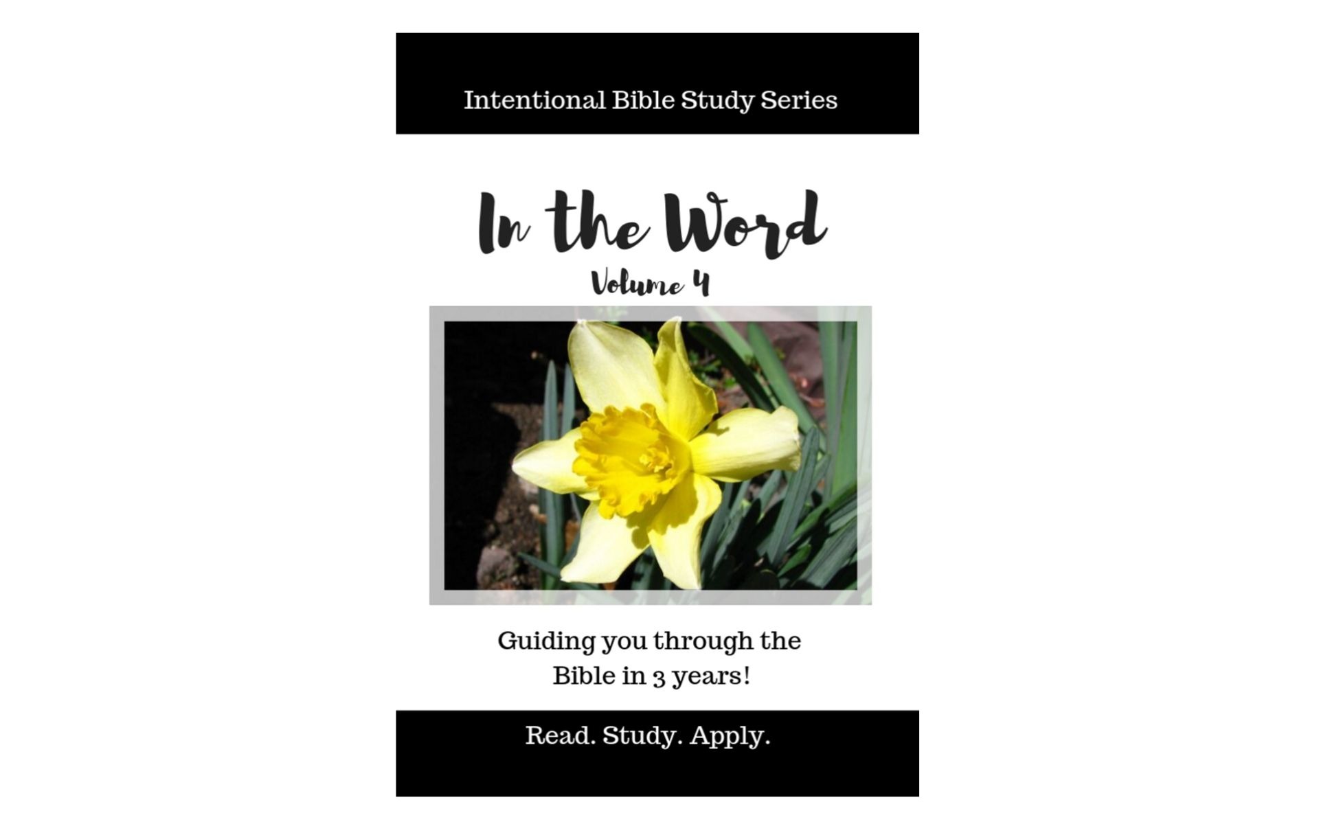 Ebook: In the Word - Intentional Bible Study Series, Vol. 4