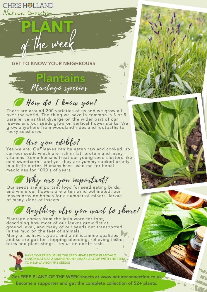 THE PLANT OF THE WEEK COLLECTION