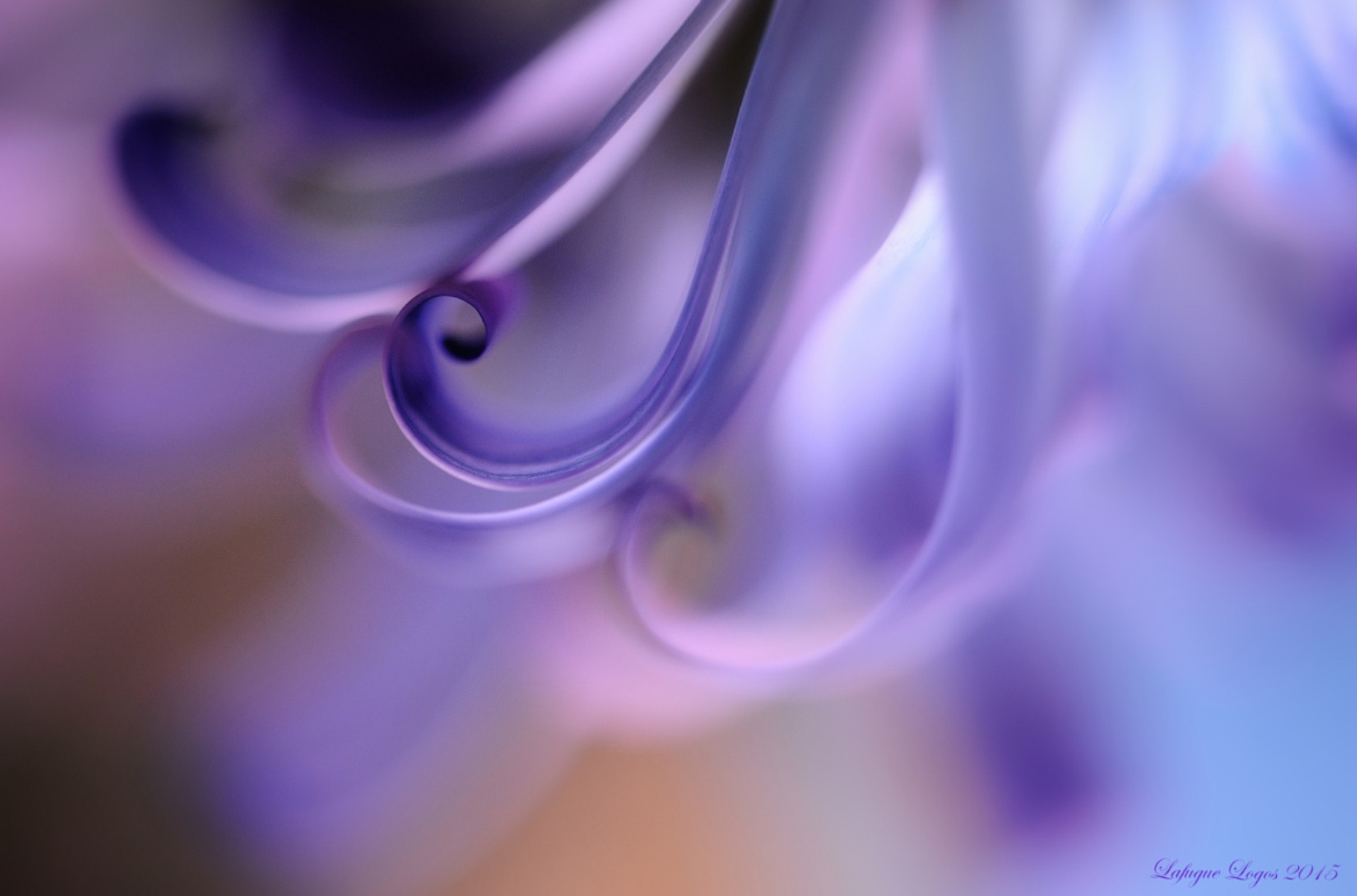 Neuro-soundscape Depression