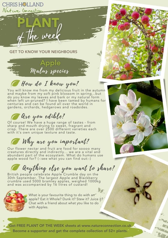 THE PLANT OF THE WEEK COLLECTION