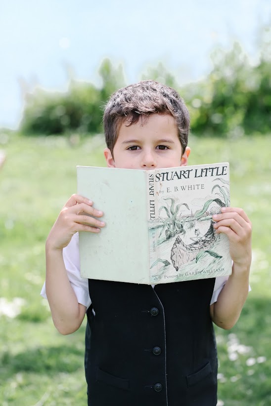 Creative teaching ideas for STUART LITTLE