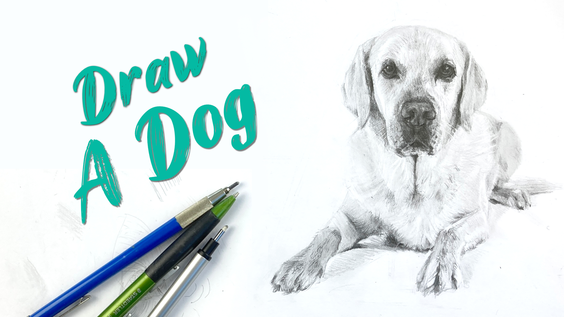 Draw A Dog: Practice Foreshortening & Observation Skills (3h 8m)