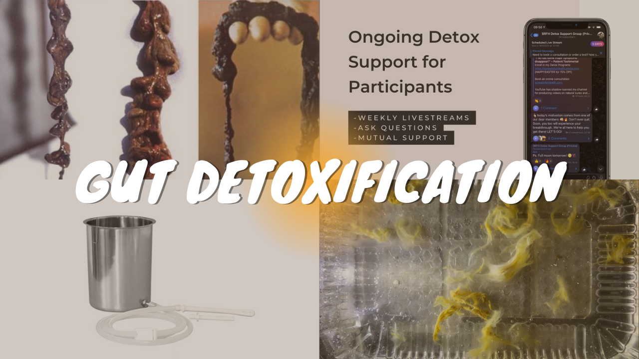 The Ultimate Gut Detox Program