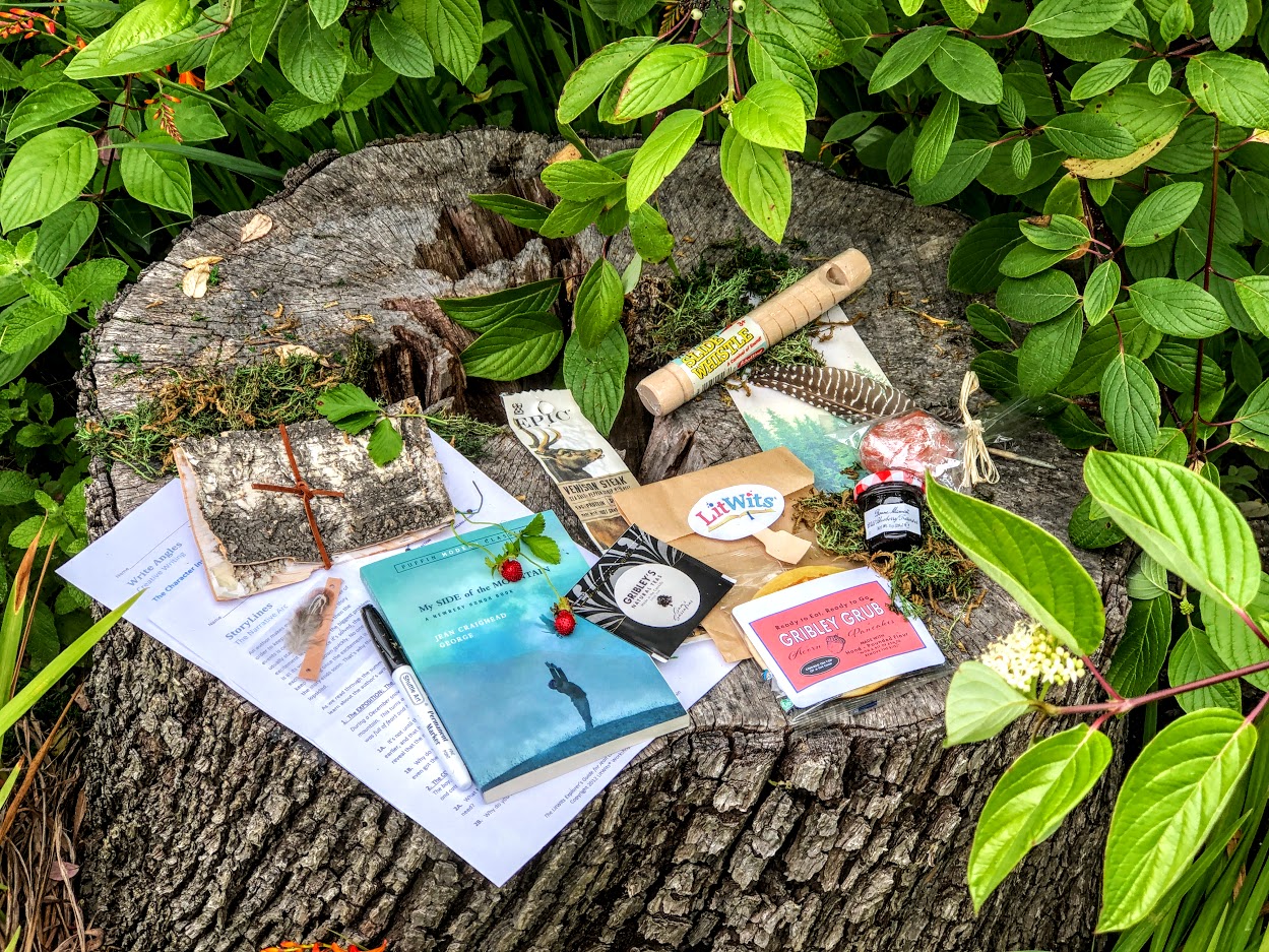 Creative teaching ideas for MY SIDE OF THE MOUNTAIN