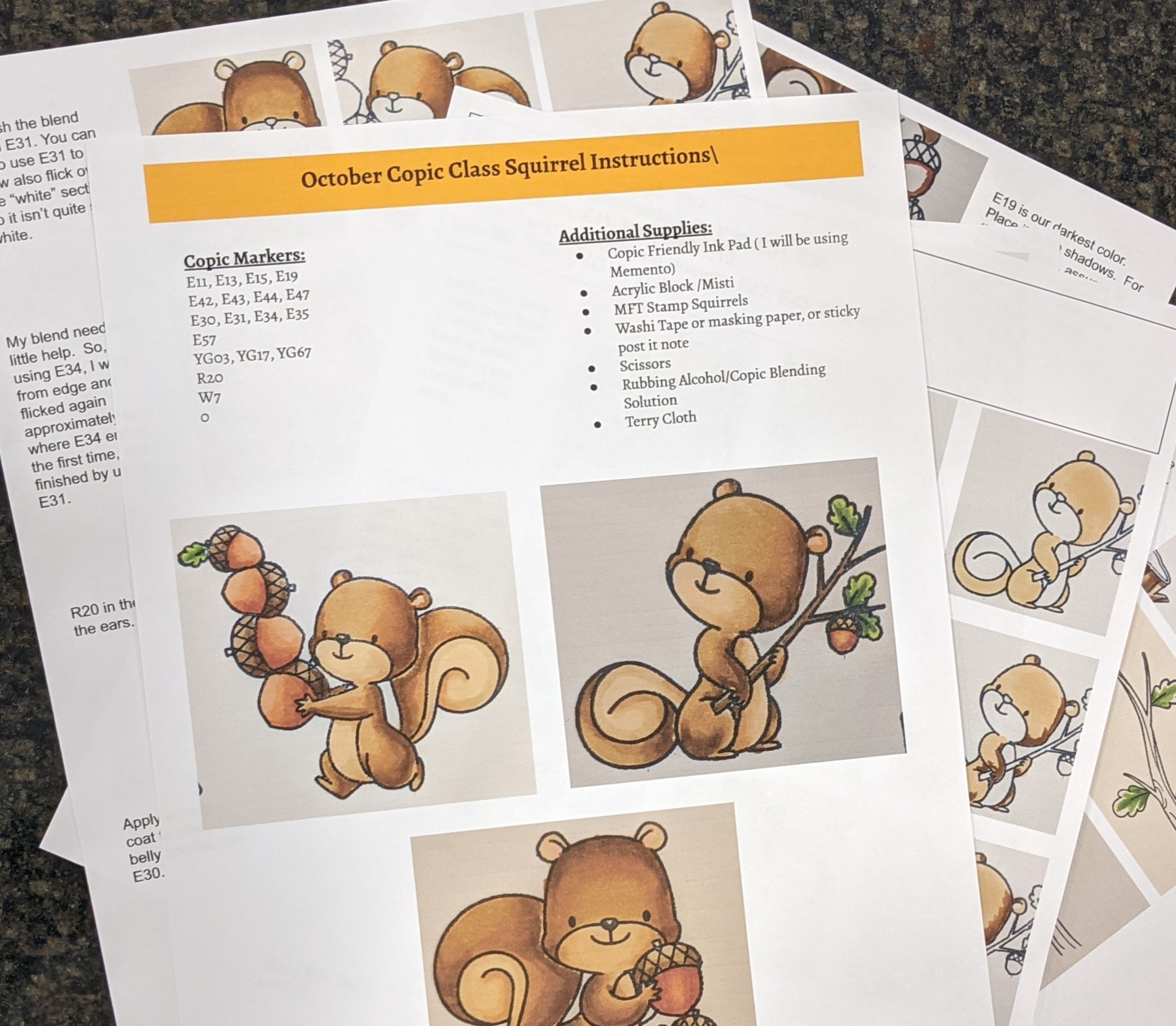 Fall Squirrels Class
