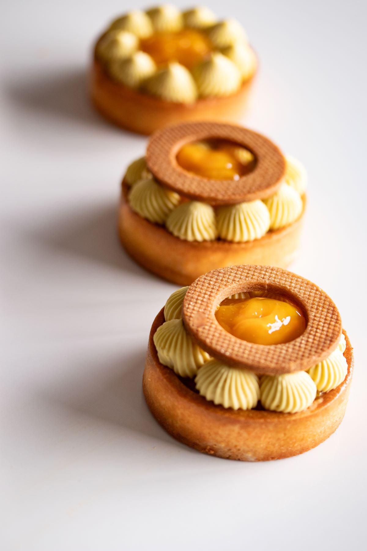 Alles over de tartelette!