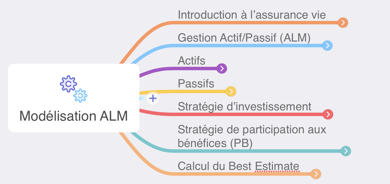 MODÉLISATION ALM : Le guide pratique pour créer un modèle ALM simple et ...