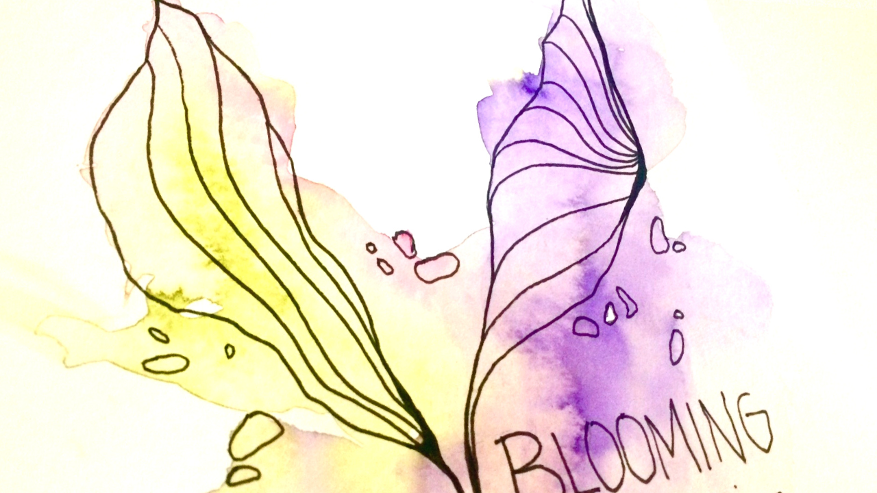 Mindful Doodling "Flowers"