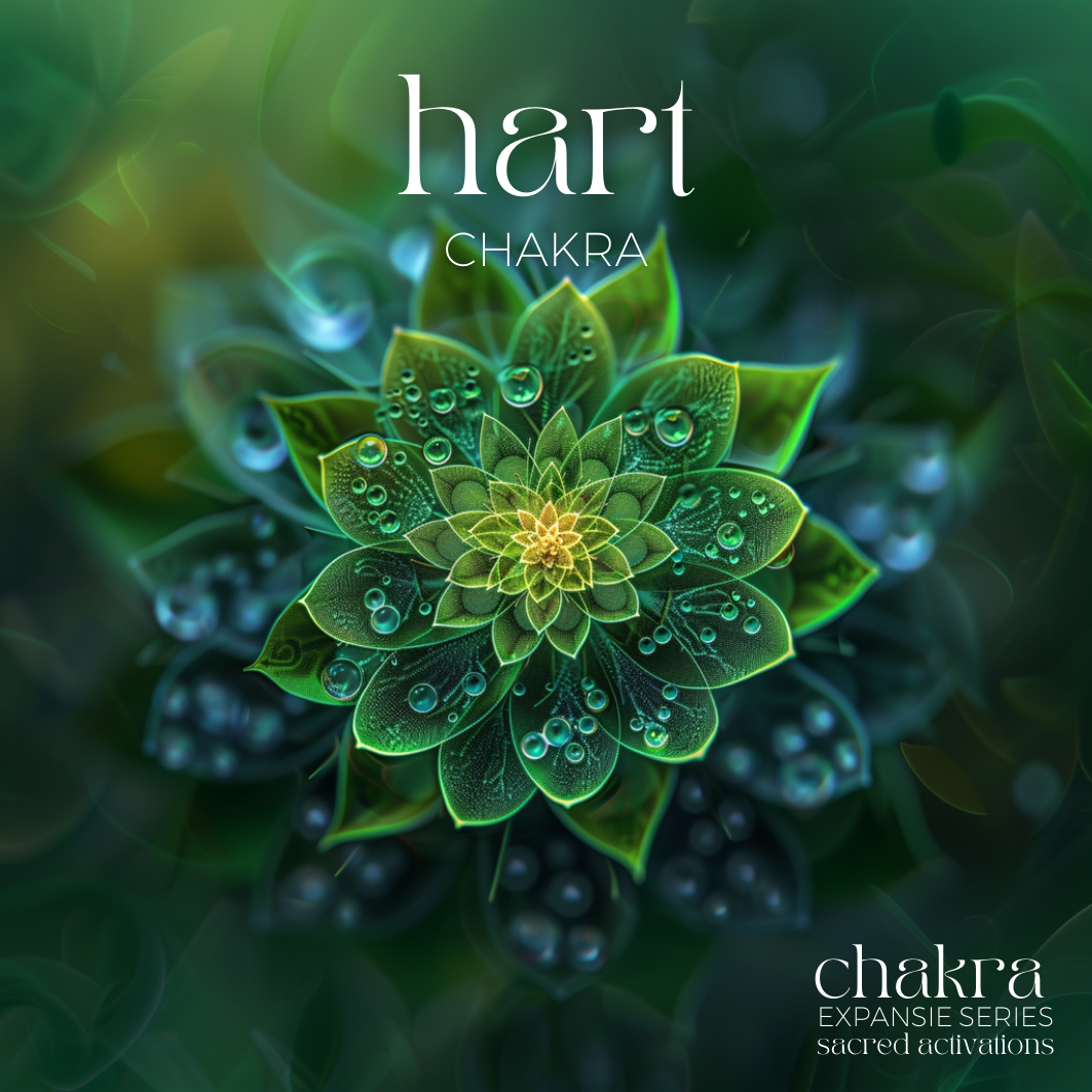 11 Chakra Expansie Sacred Activations Serie