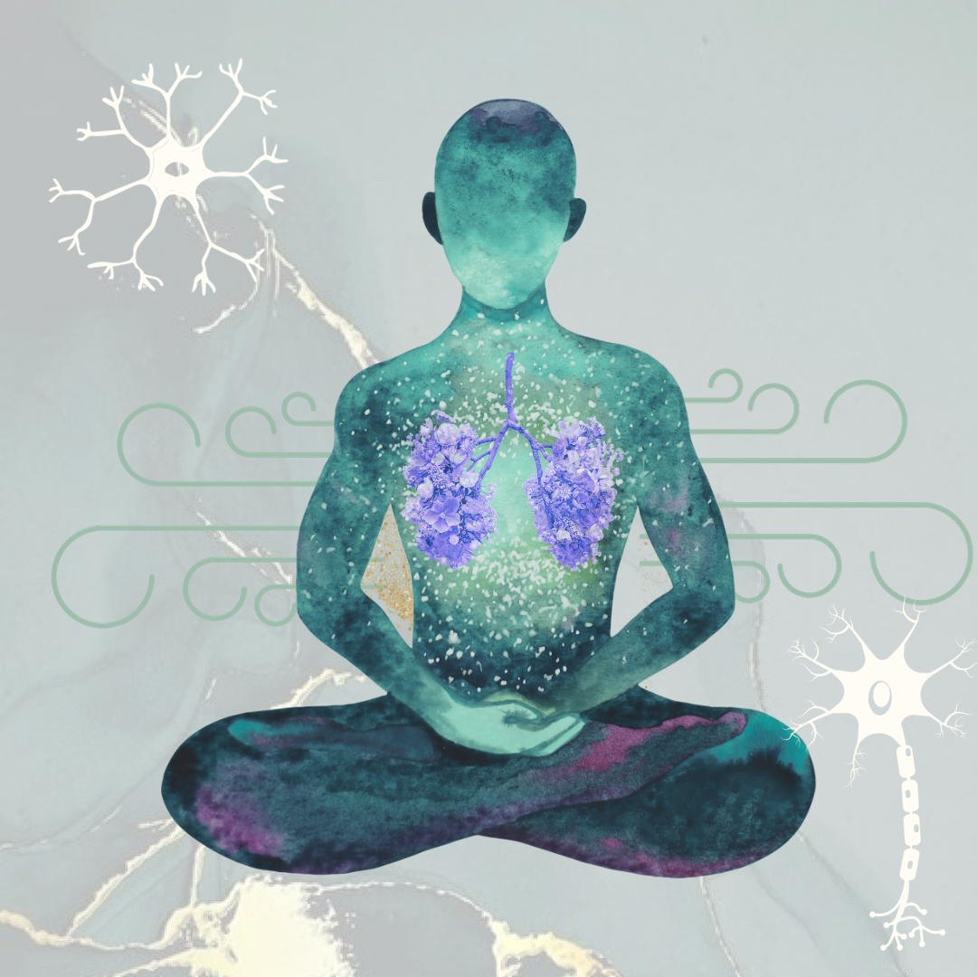 The Neuroscience and Art of Meditation