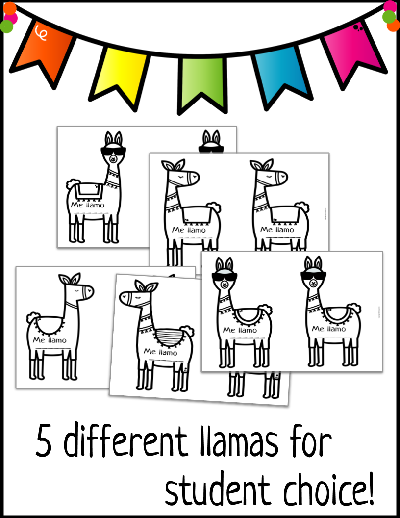Llama Theme Bulletin Board for Back to School