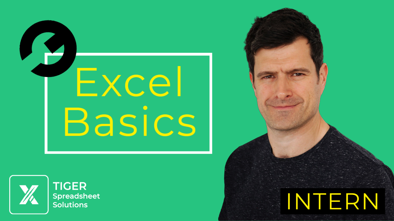 Excel Basics Course