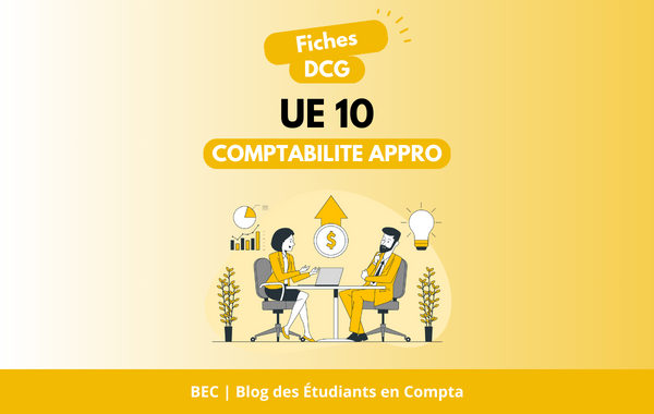 Fiches de révision UE 10 DCG 2023/2024 - Note : 16/20