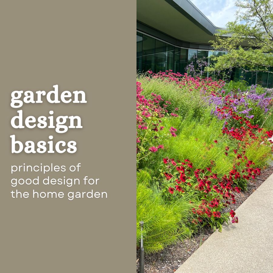 The Dallas Garden School | Gardening Classes