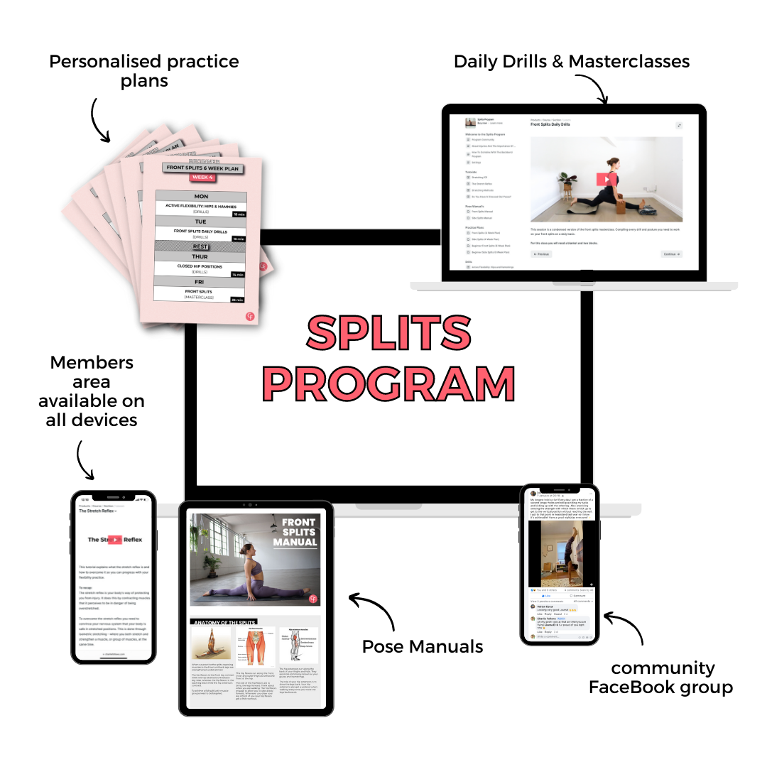 Splits Program