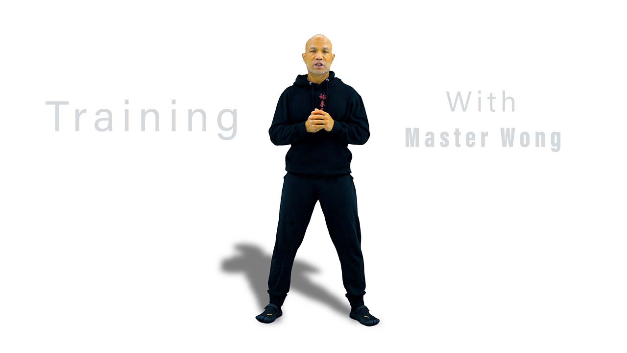 Wing Chun Mastery