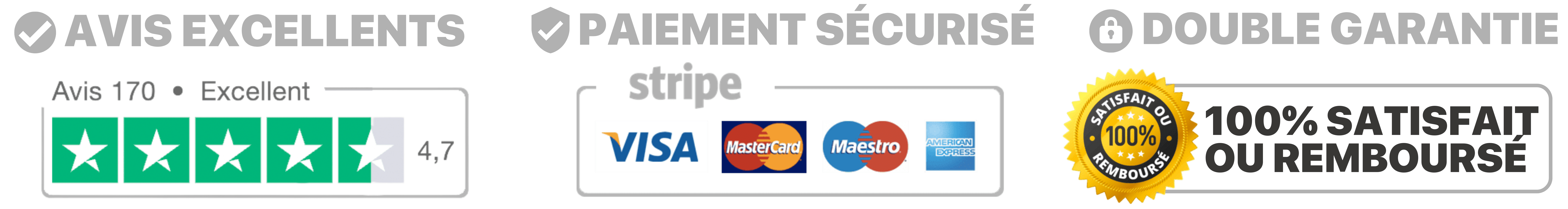 AI MONEY MAXIMIZER™