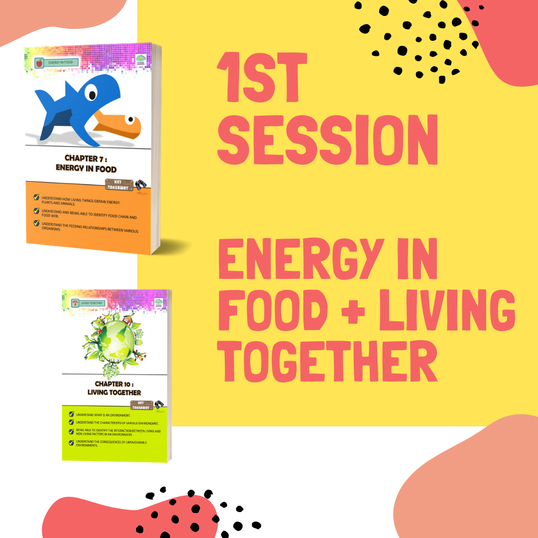 7 Days - Primary 6 Science Mastery Course