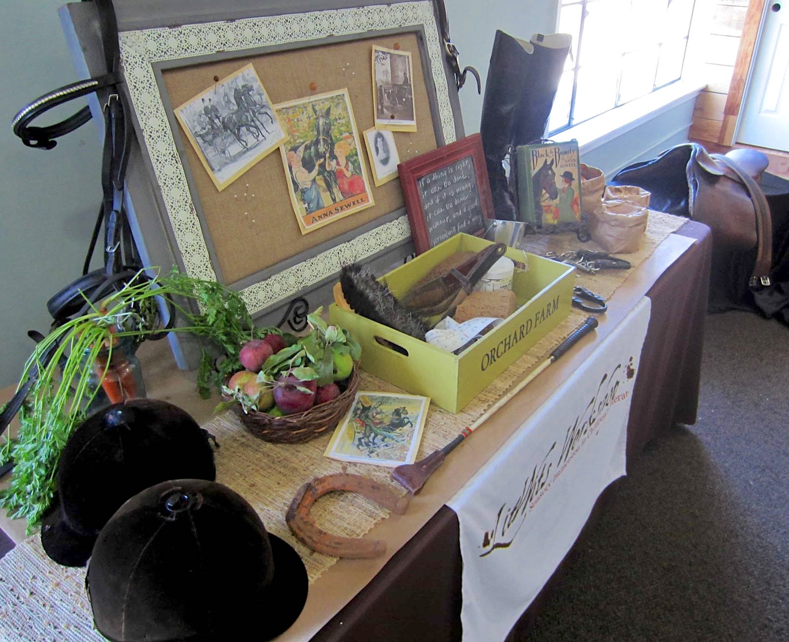 Creative teaching ideas for BLACK BEAUTY