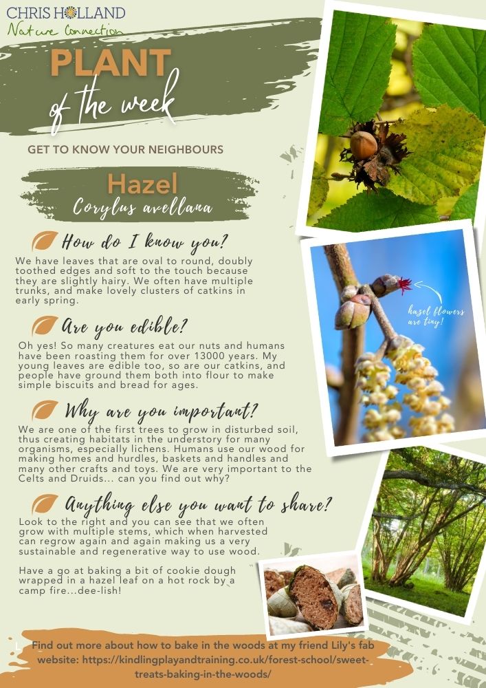 THE PLANT OF THE WEEK COLLECTION