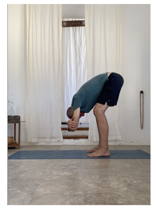 The Erector Spinae and Spine Stability