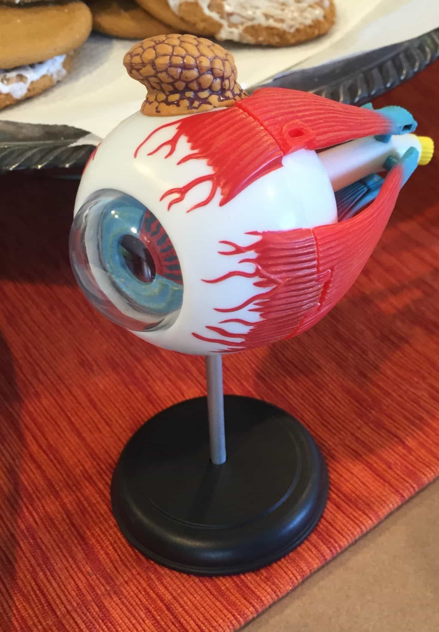 Creative teaching ideas for FOLLOW MY LEADER