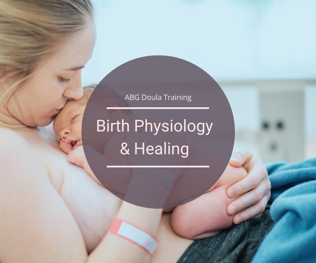 ABG Postpartum Doula Training and Certification Program