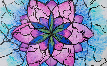 Neurographica Course Bundles