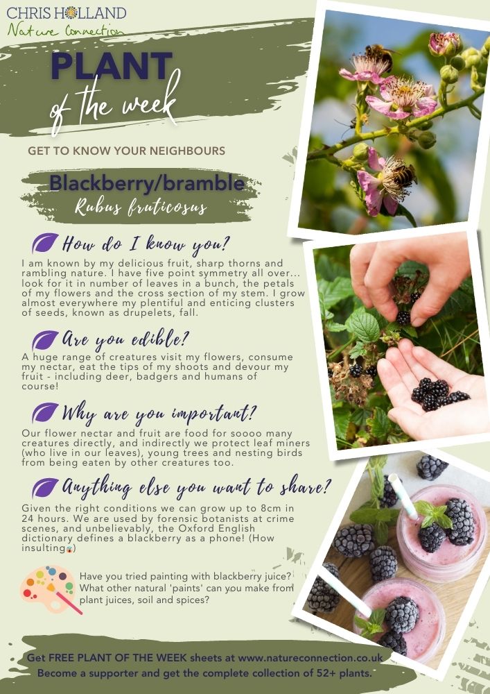 THE PLANT OF THE WEEK COLLECTION