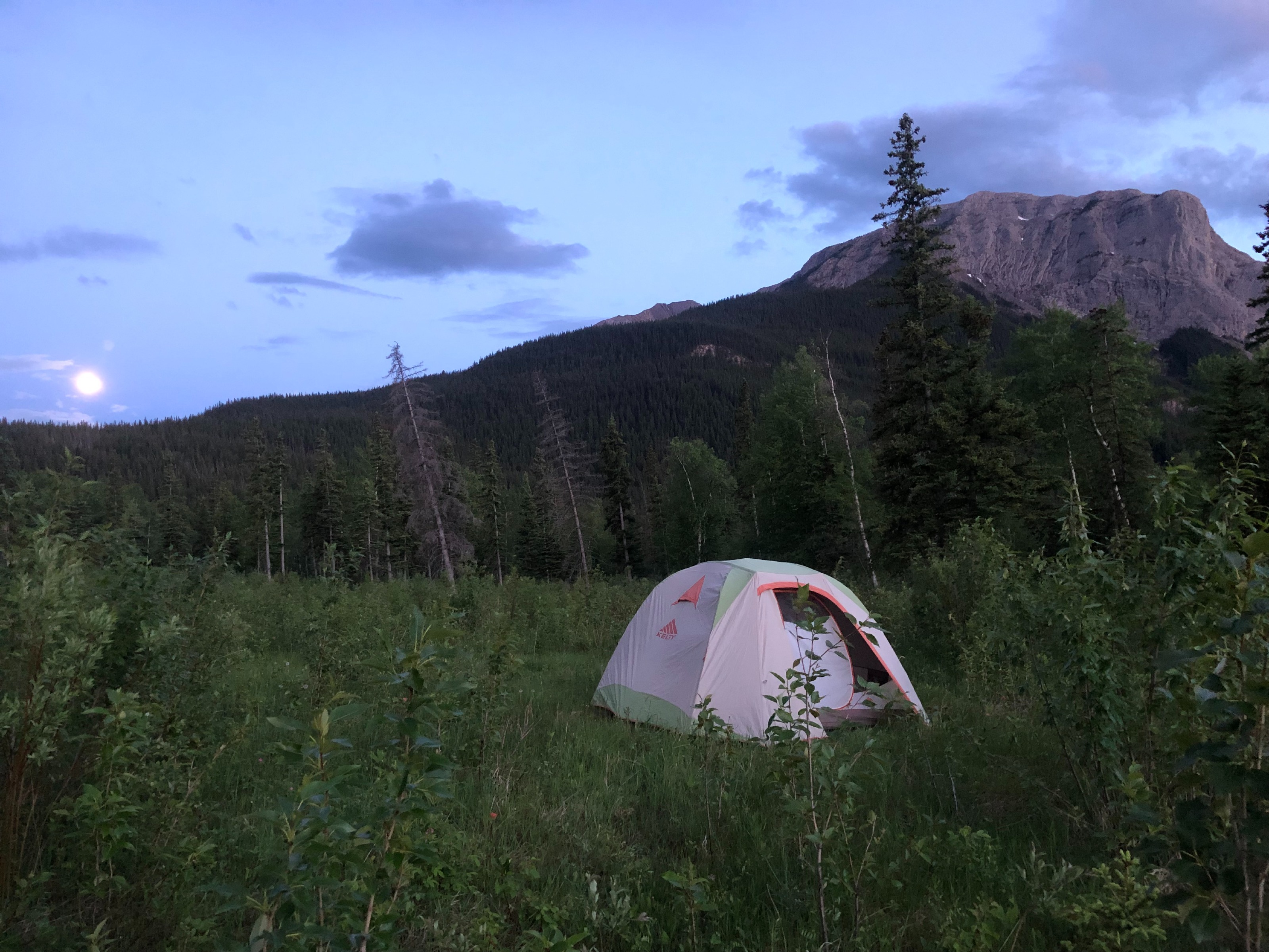 Connection is a Survival Skill