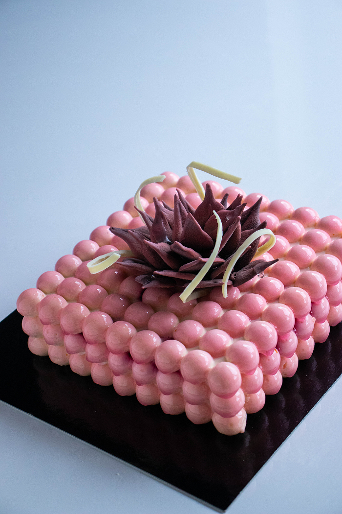 Alles over de entremet!