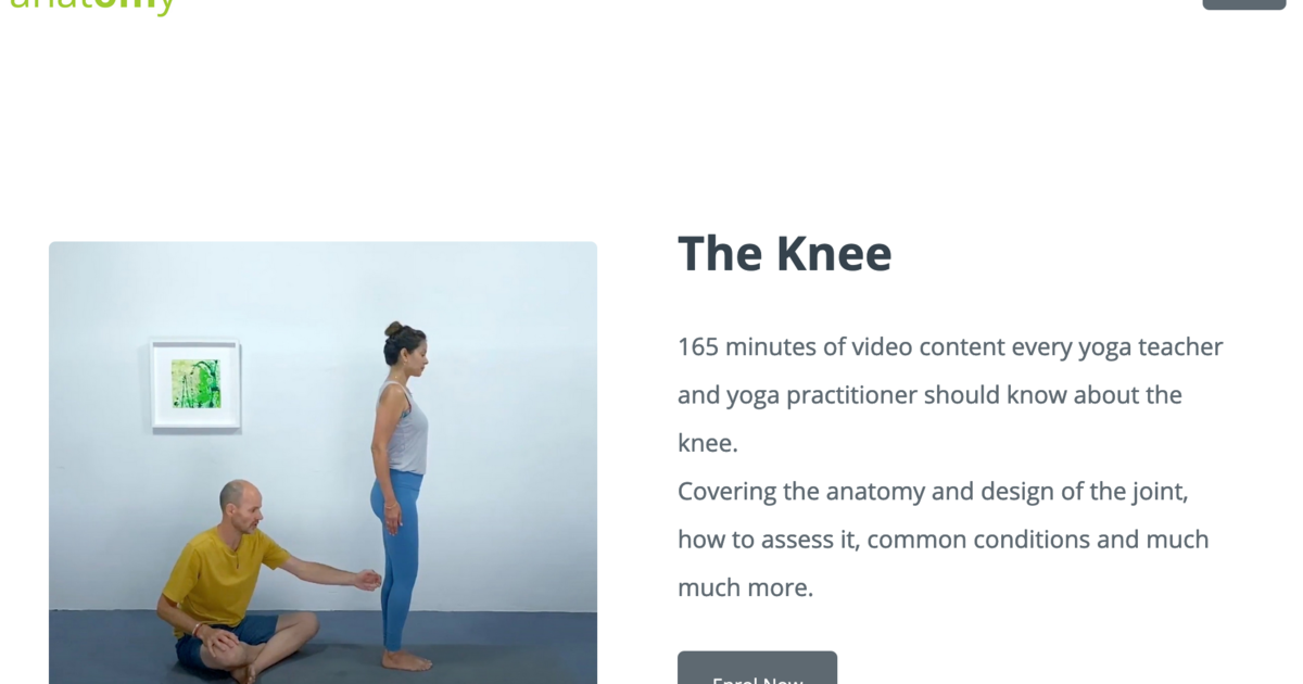 The Foot: Arch Building Course