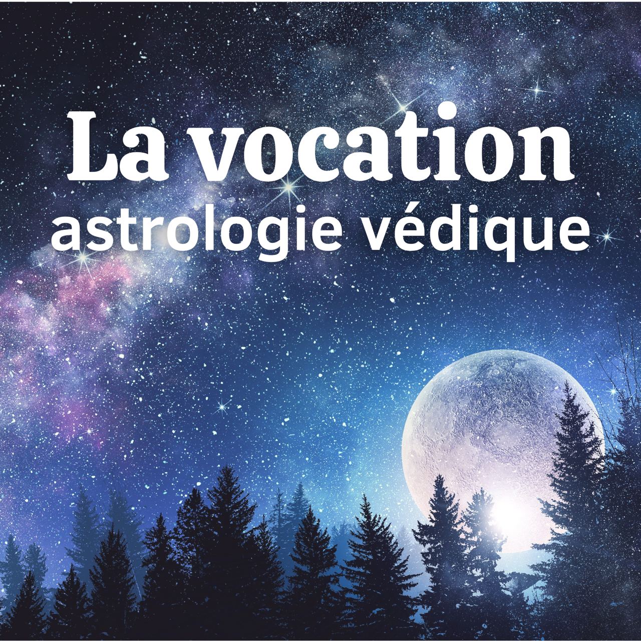 La vocation en astrologie "védique"