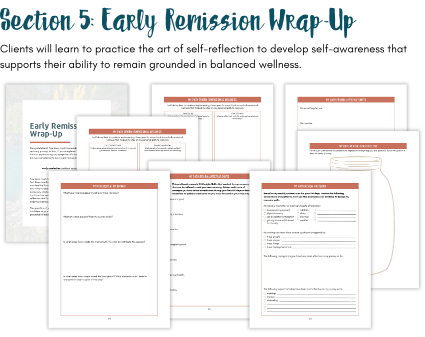 Beyond Addiction Workbook, Clinical License
