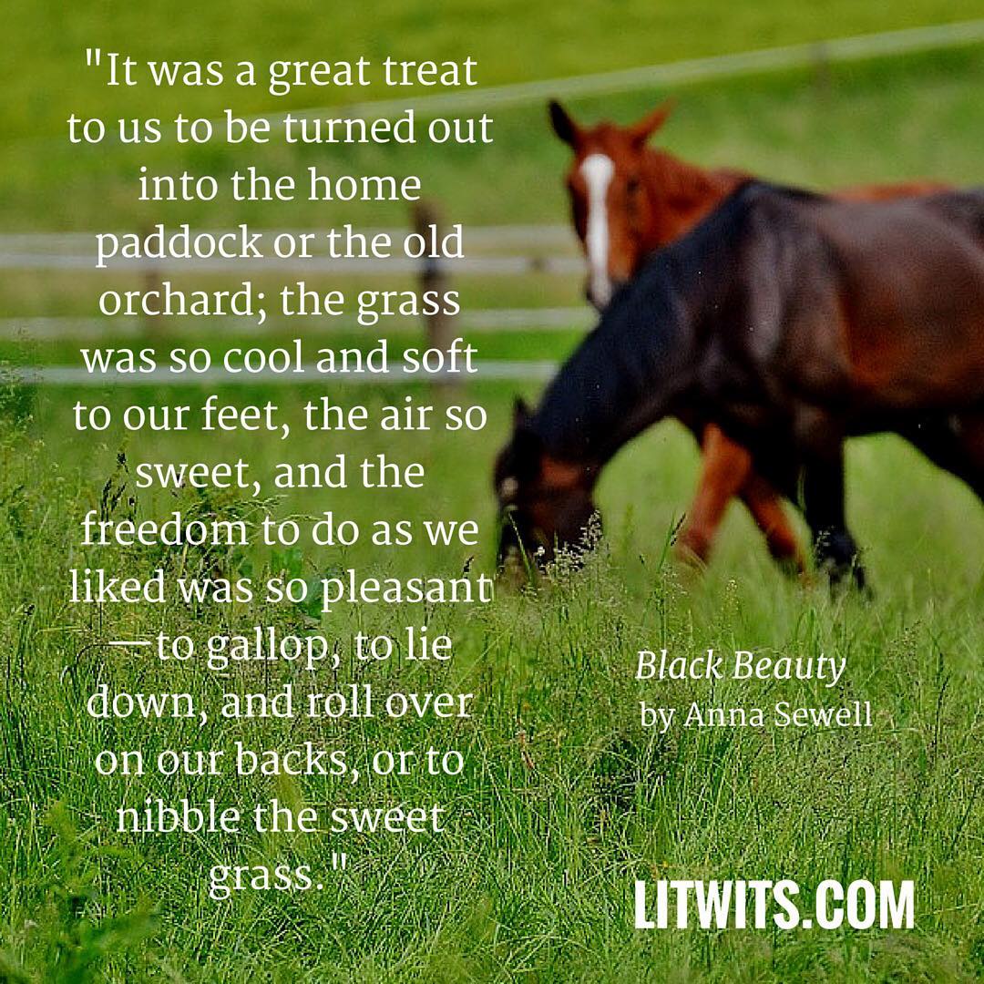 Creative teaching ideas for BLACK BEAUTY