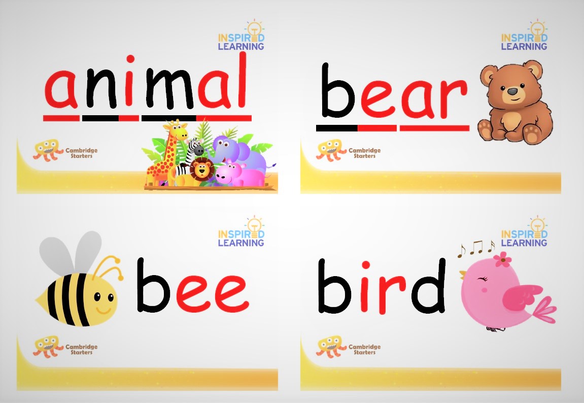 (FREE) Video Preview - Cambridge Starters Flashcards (Animals)