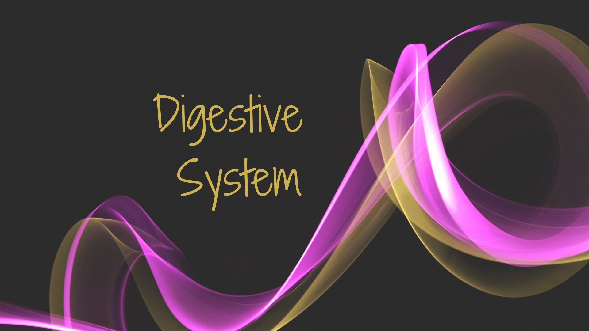 Digestive System