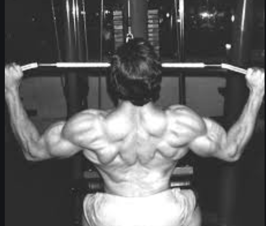 Vic's Steroid Test and Free Transformation Webinar