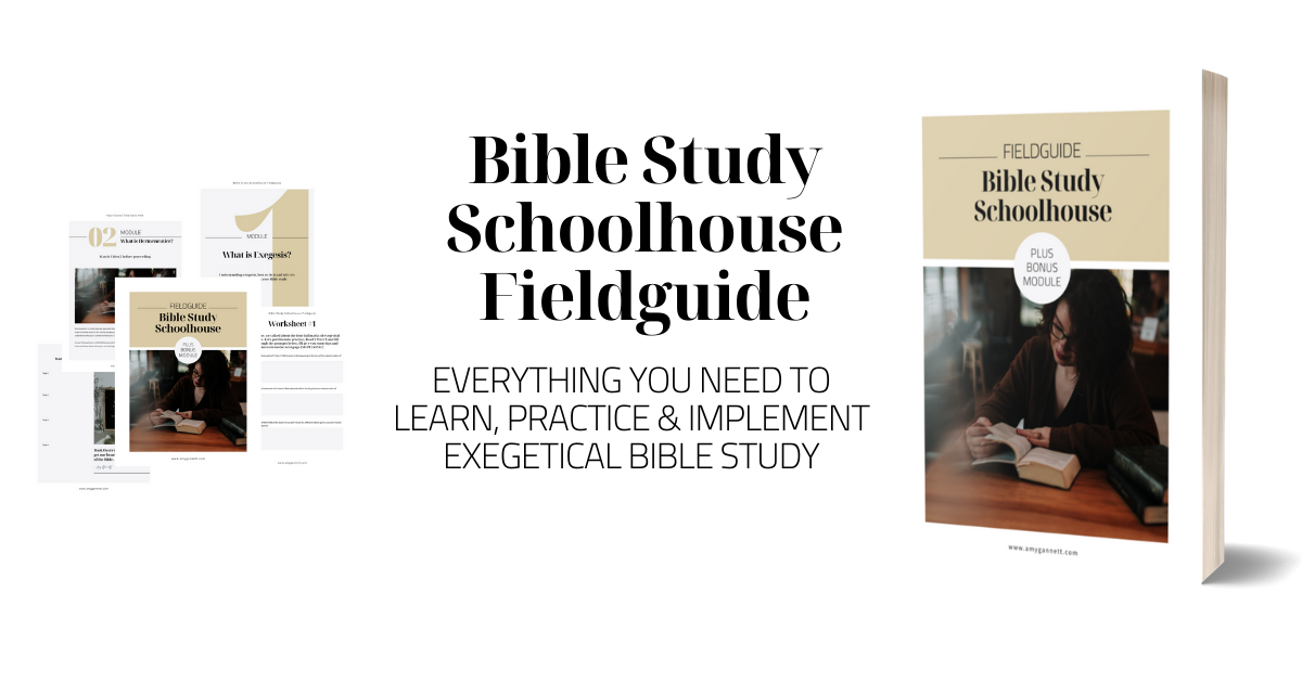 Bible Study Schoolhouse Fieldguide