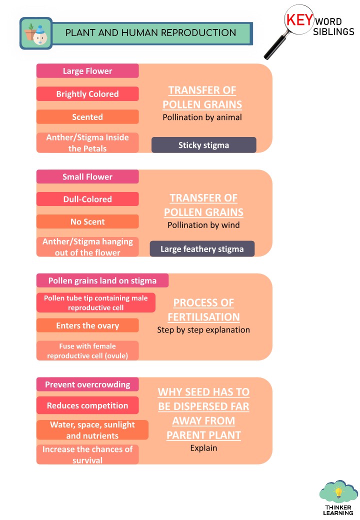 2023 PSLE SCIENCE GUIDEBOOK