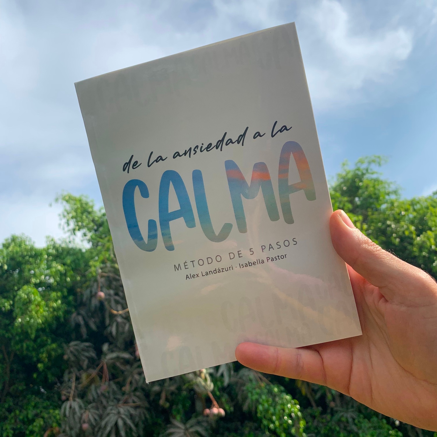 De la Ansiedad a La Calma