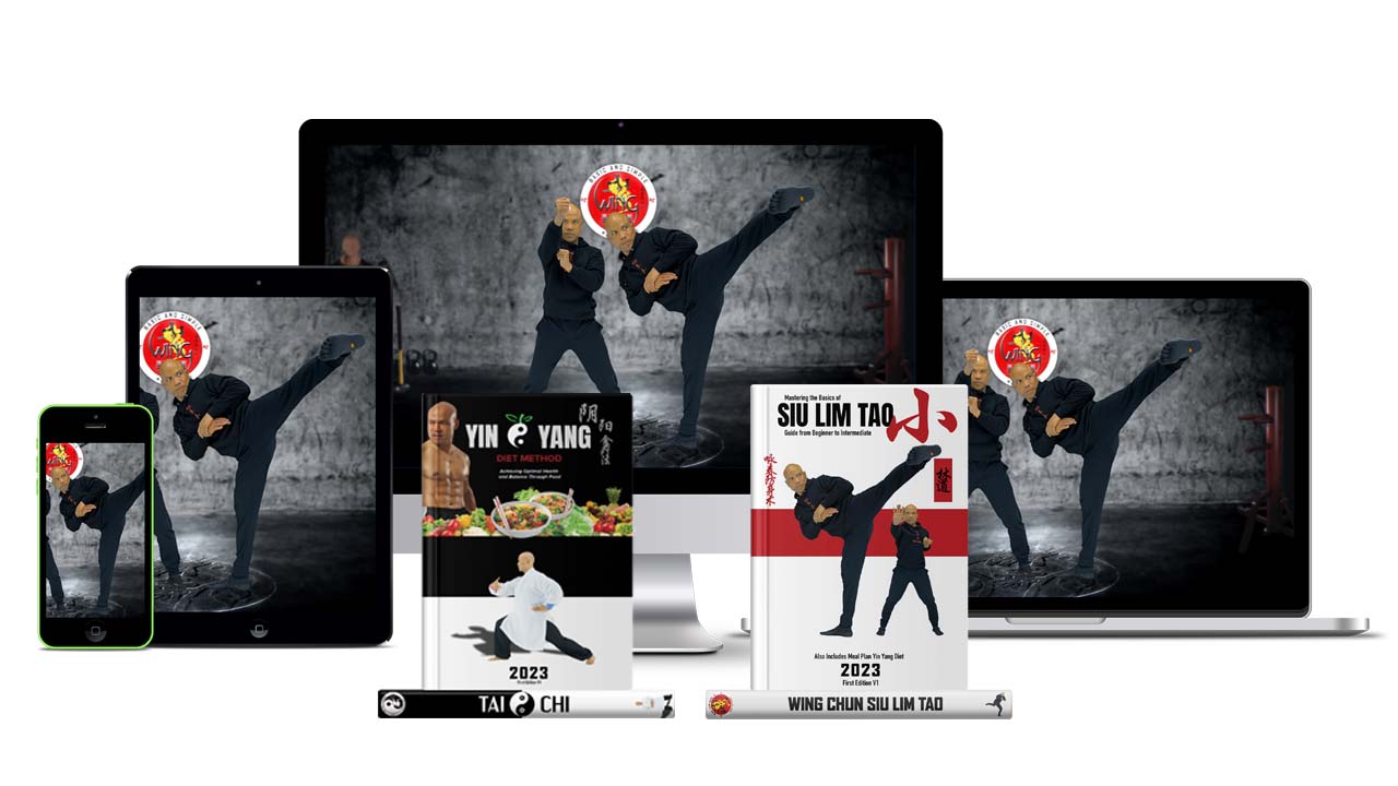 Mastering the Basics of Siu Lim Tao