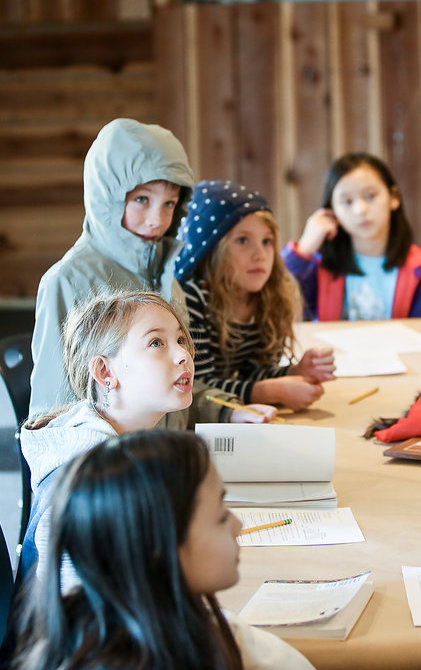 Creative teaching ideas for MY SIDE OF THE MOUNTAIN