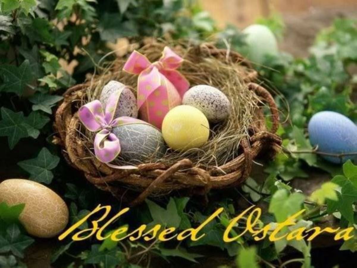 FREE Ostara Guide -How to be in Rhythm with Mother Nature Series
