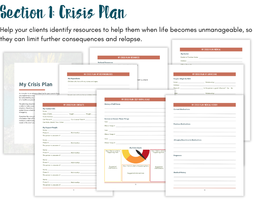 Beyond Addiction Workbook, Clinical License