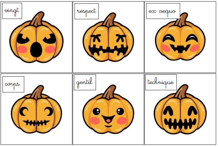 Echo citrouilles : Mots irréguliers