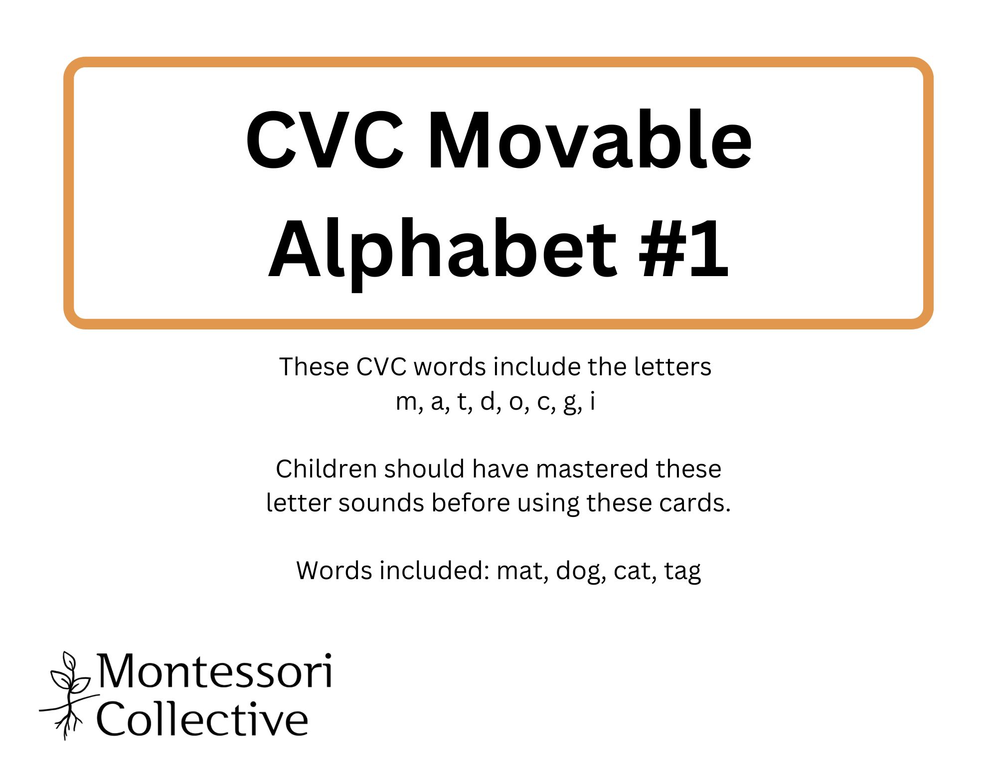 CVC Movable Alphabet Bundle #1 (Set K.3 of Integrated S&S)